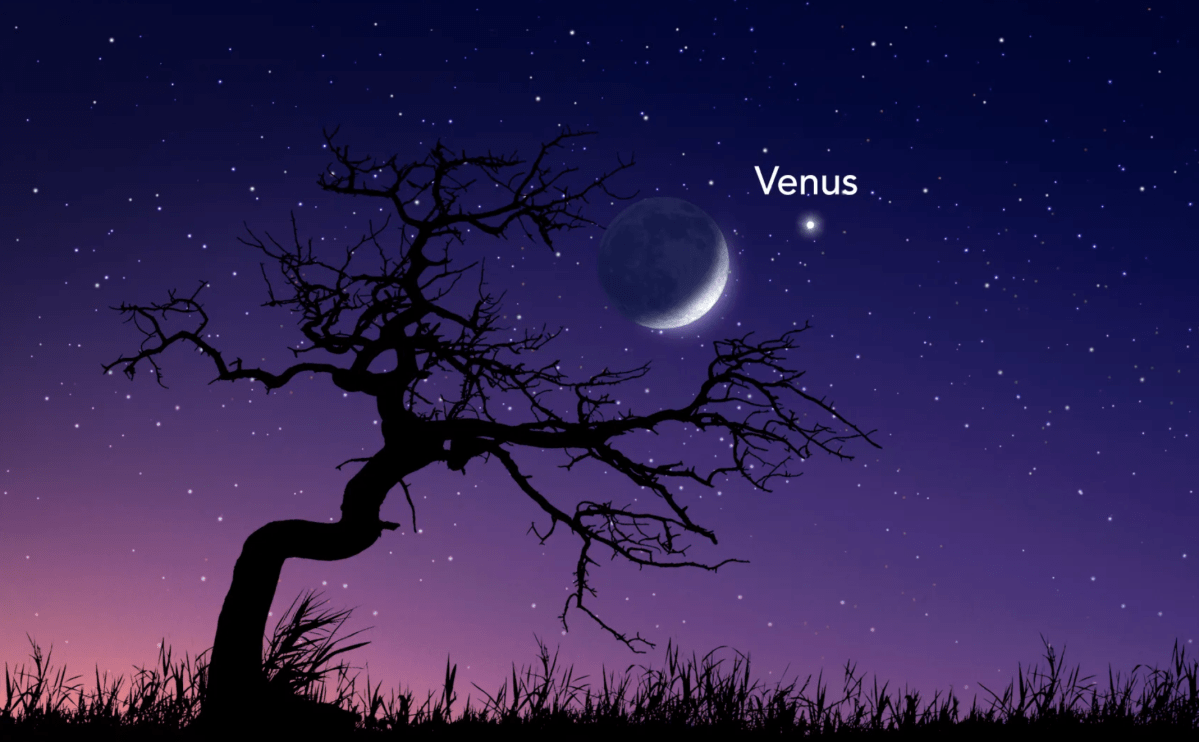 Venus – The Power of Story